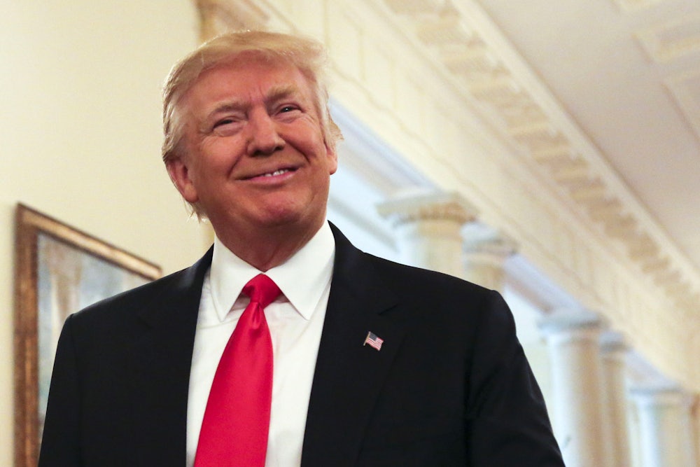 The Failure of Pro-Trump Intellectualism | New Republic The Failure of Pro-Trump Intellectualism | New Republic