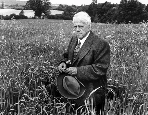 'The Art of Robert Frost by Tim Kendall,' Reviewed by Adam Plunkett ...