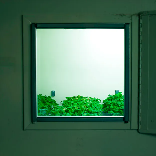 Lucinda Devlin Photography: Field Culture in the Midwest | The New Republic