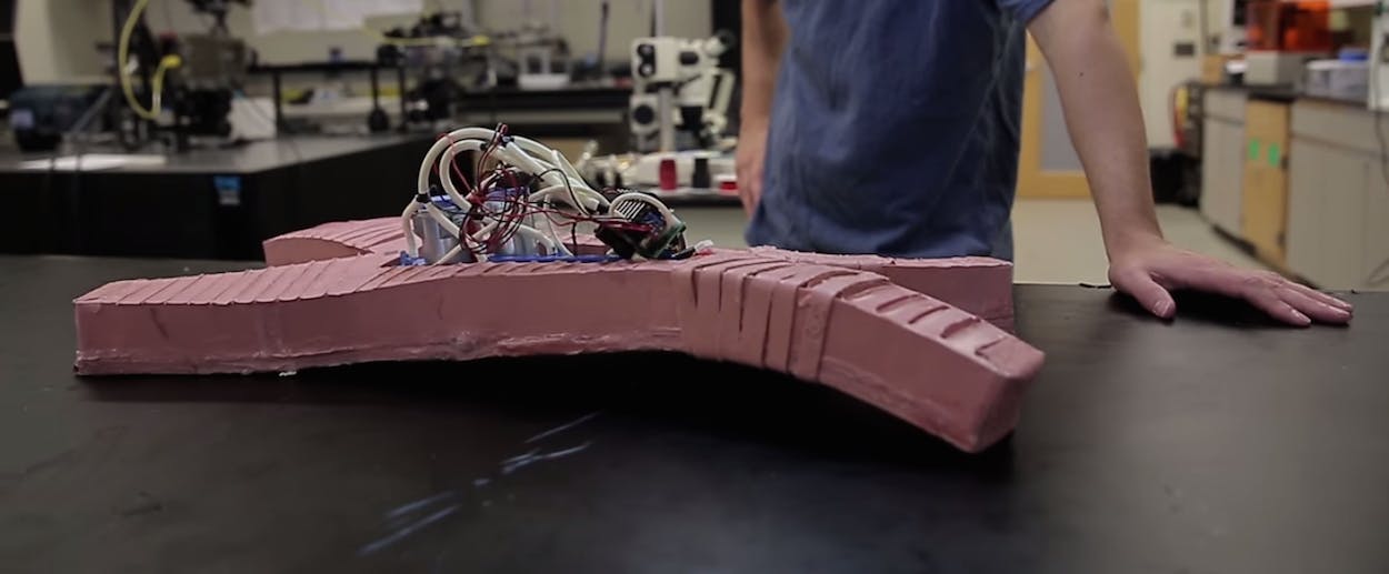 Soft Robot Can Walk Though Fire | The New Republic