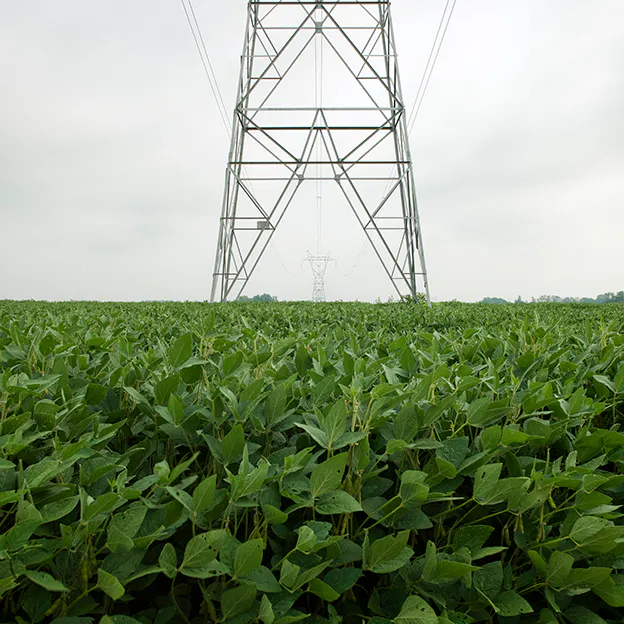 Lucinda Devlin Photography: Field Culture in the Midwest | The New Republic