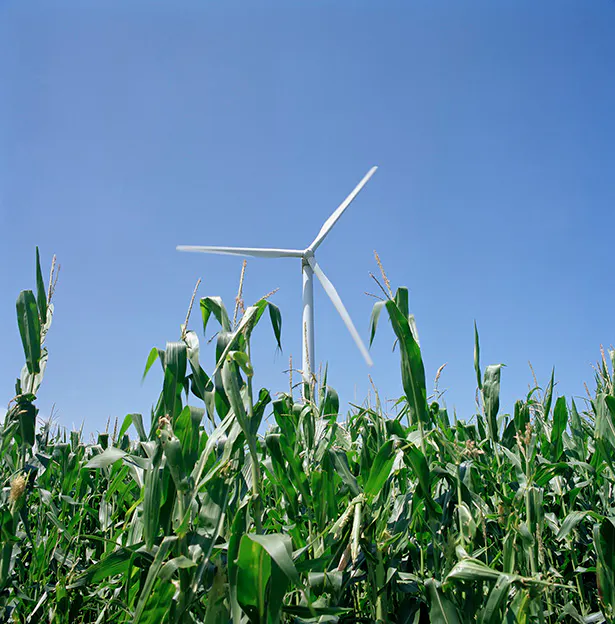 Lucinda Devlin Photography: Field Culture in the Midwest | The New Republic
