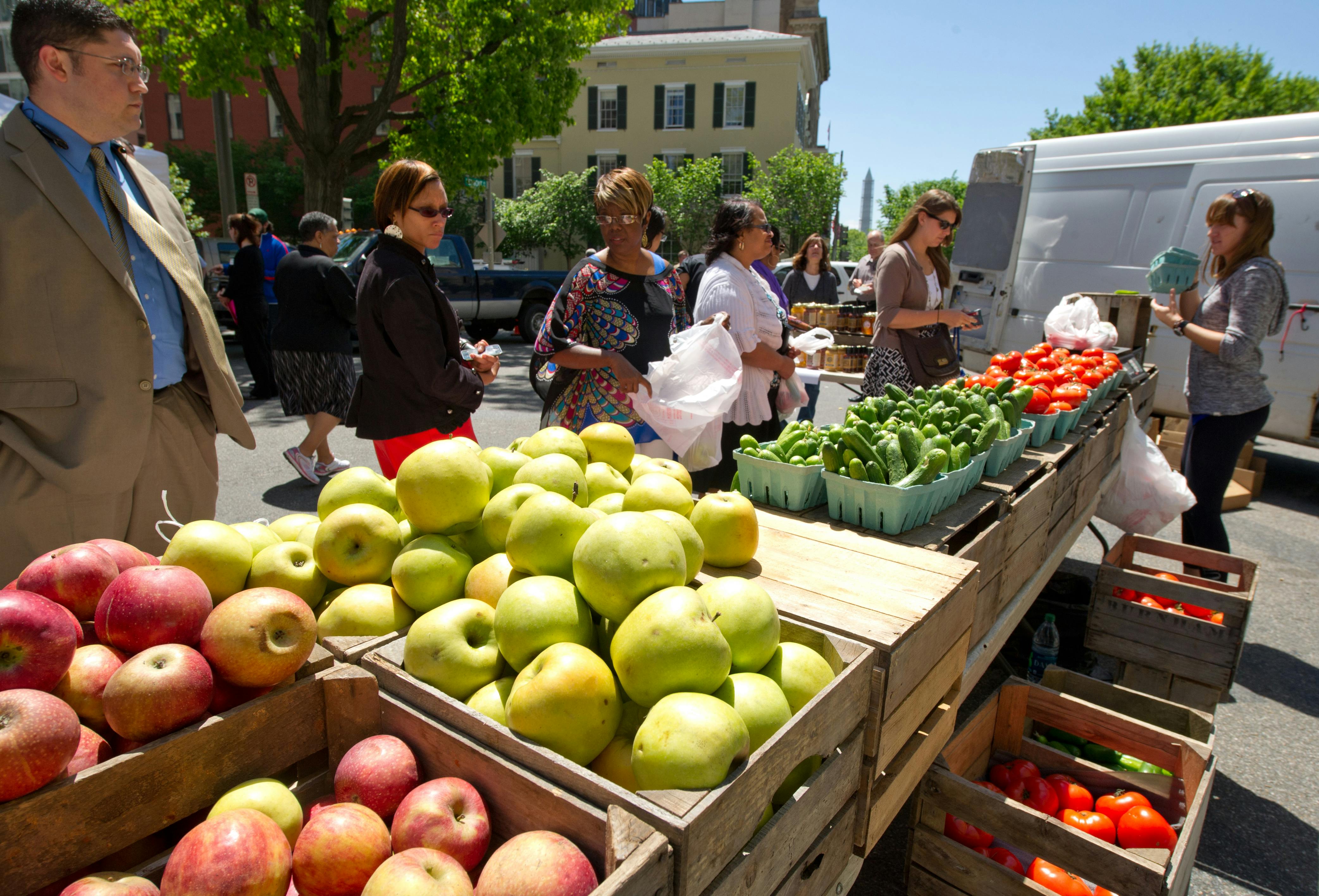Experts Answer Your Questions about Food Stamps and SNAP | The New Republic